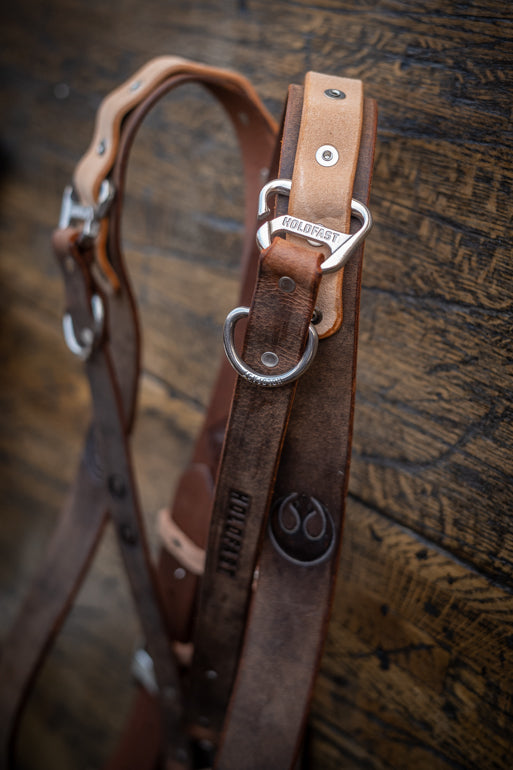 Obi Wan (Limited Edition Straps) | Hold Fast